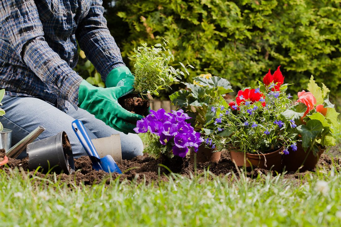Garten- und Landschaftsbau – Reshani GmbH